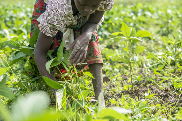 Counselling Project In Rwanda - Network For Africa